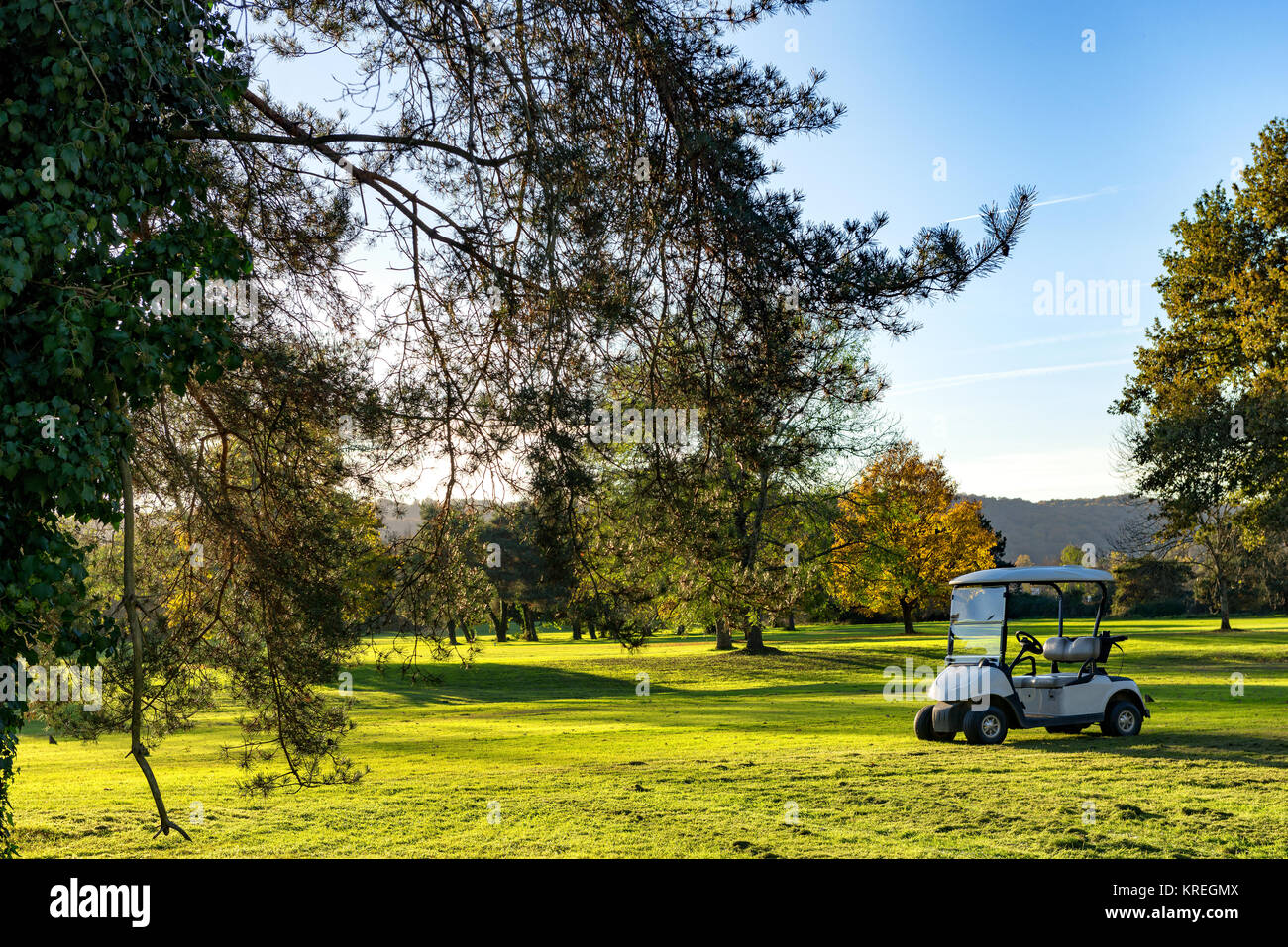 a golf carts on a golf course Stock Photo - Alamy