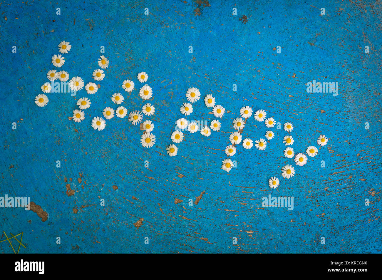 The word Happy written of daisy flowers on blue background Stock Photo ...