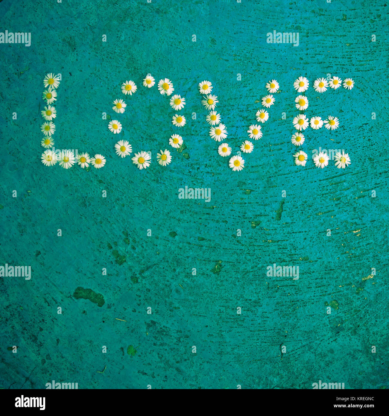 The word Love written of daisy flowers on blue background Stock Photo ...