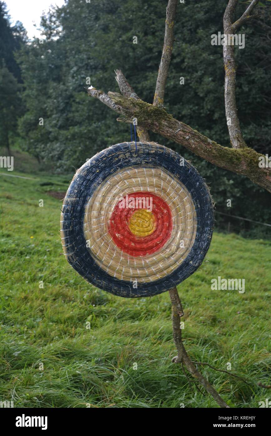 target of straw hanging on old branch Stock Photo - Alamy