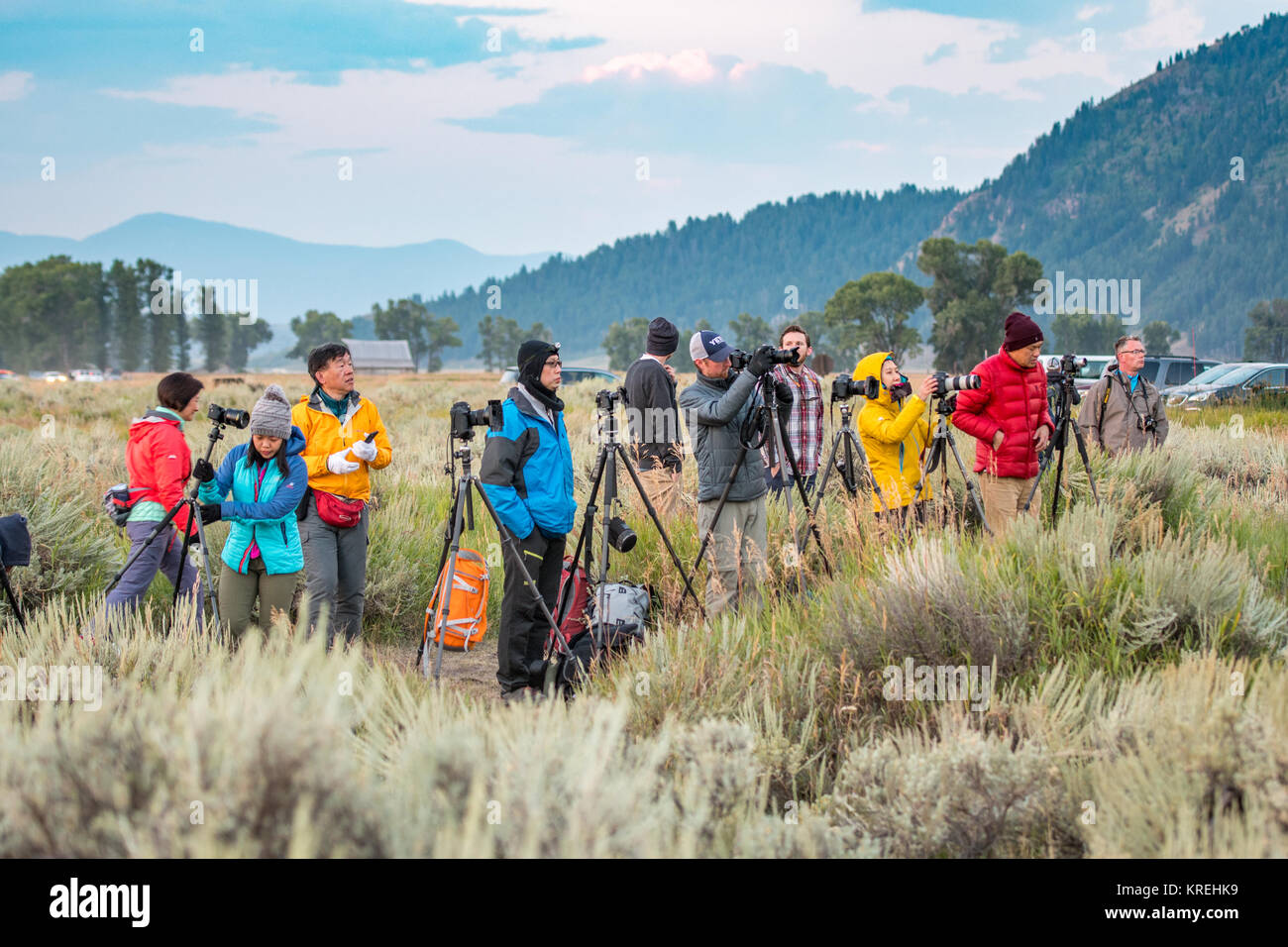 Set in splendid mountain hi-res stock photography and images - Alamy