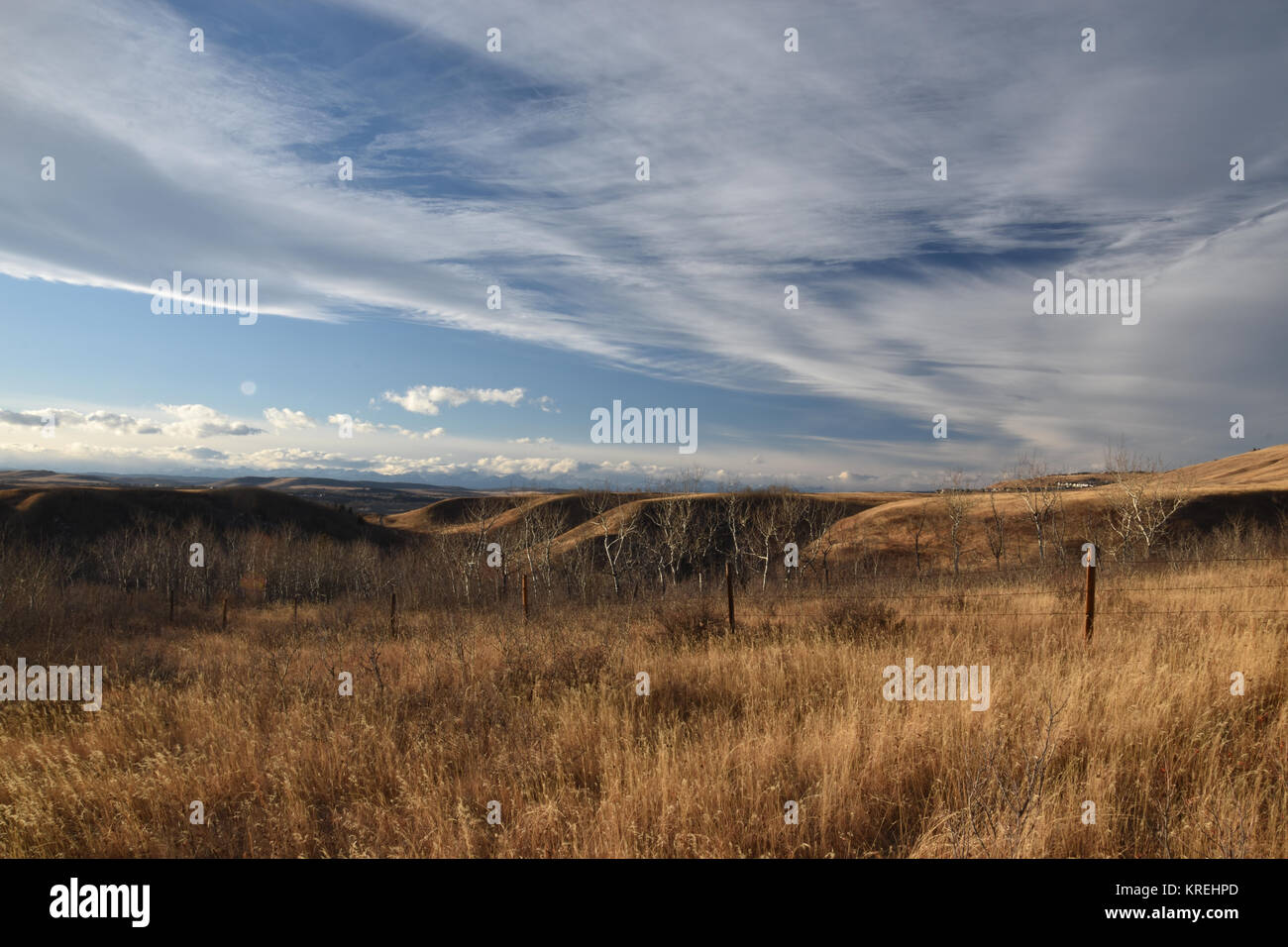 Airdrie alberta hi-res stock photography and images - Alamy