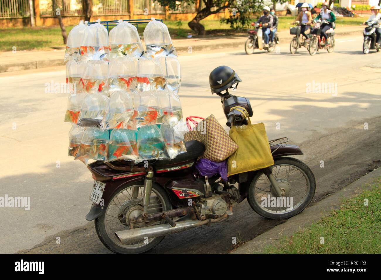 Loads Of Motorbikes High Resolution Stock Photography and Images - Alamy