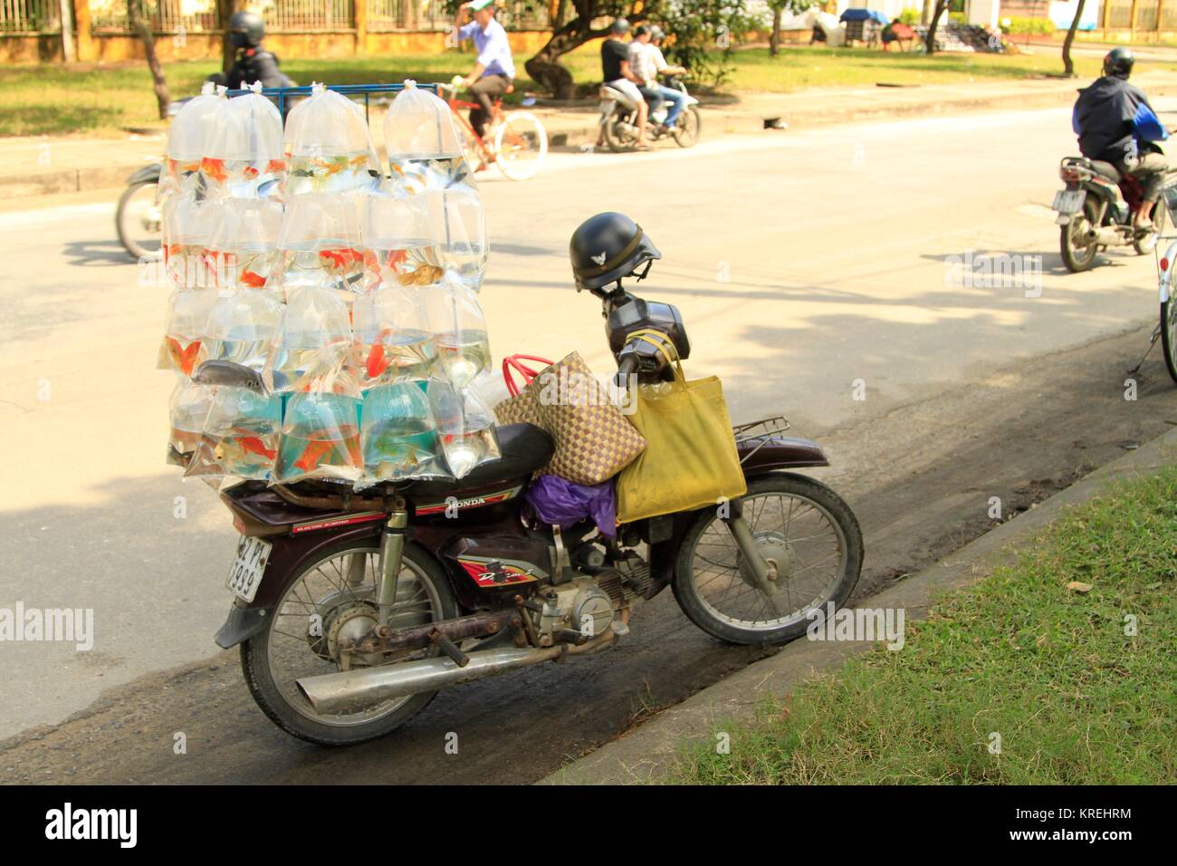 Aquarium fish being sold off the back of a motorbike in Hoi An, Vietnam ...