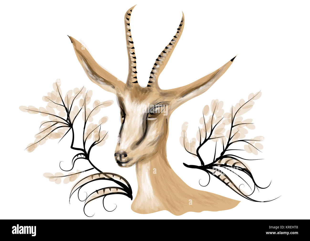 African springbok Cut Out Stock Images & Pictures - Alamy