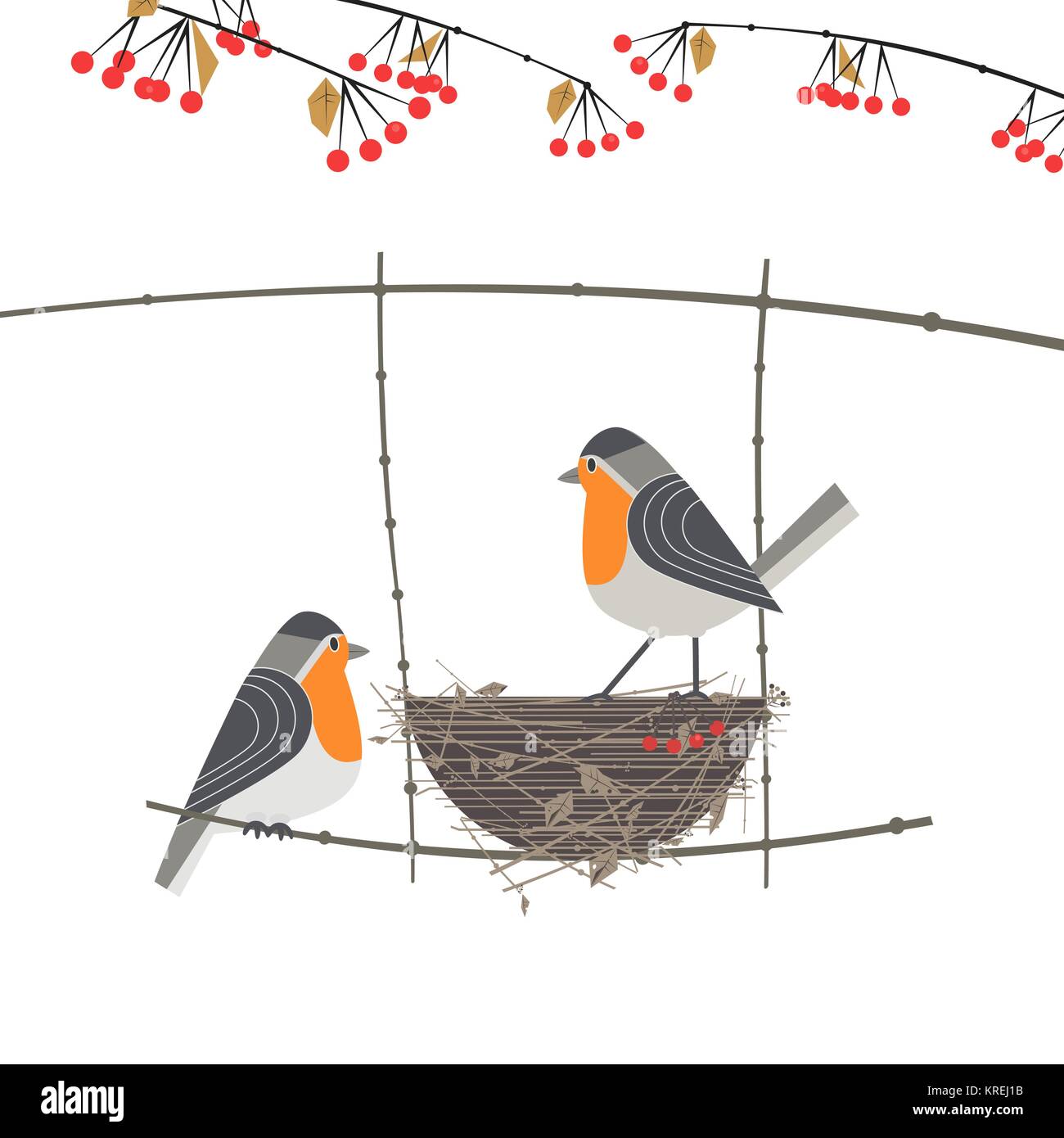 Robin birds couple Stock Vector Image & Art - Alamy