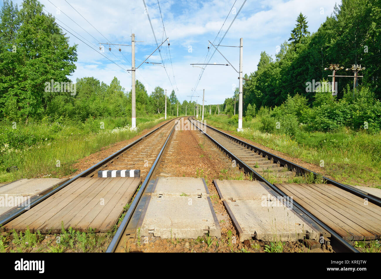 Train tracks recede into the distance through the thick forest Stock ...