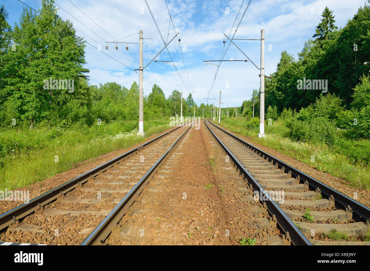 Train tracks recede into the distance through the thick forest Stock ...