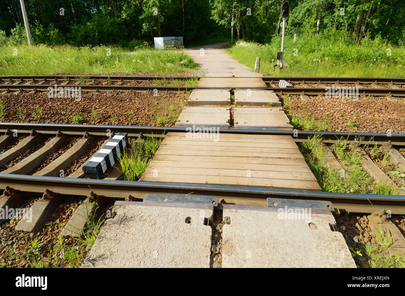 Train tracks recede into the distance through the thick forest Stock ...
