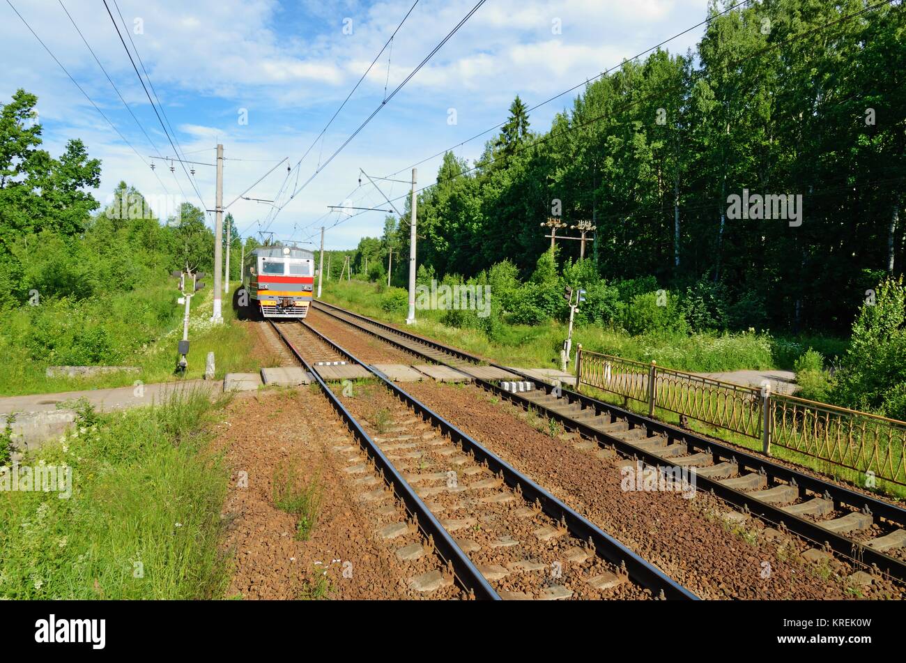 Train tracks recede into the distance through the thick forest Stock ...