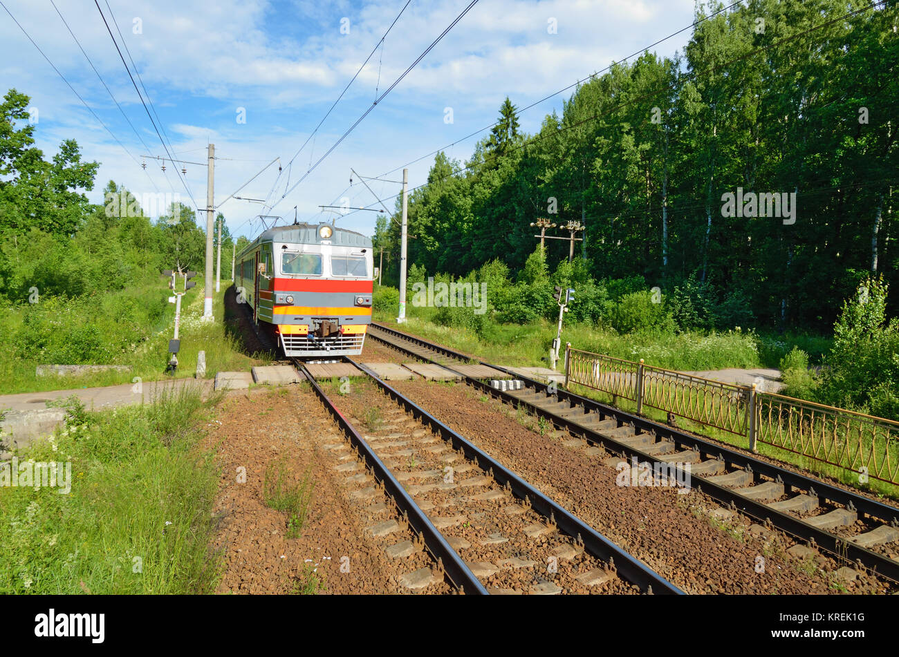 Train tracks recede into the distance through the thick forest Stock ...