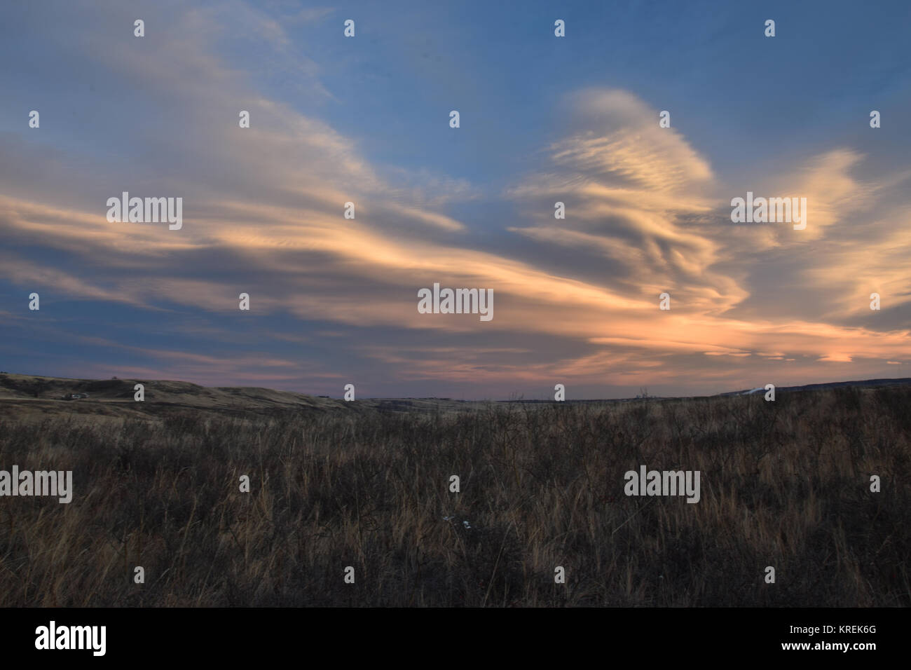 Prairies Landscapes in Winter. Airdrie, Alberta, Canada Stock Photo - Alamy