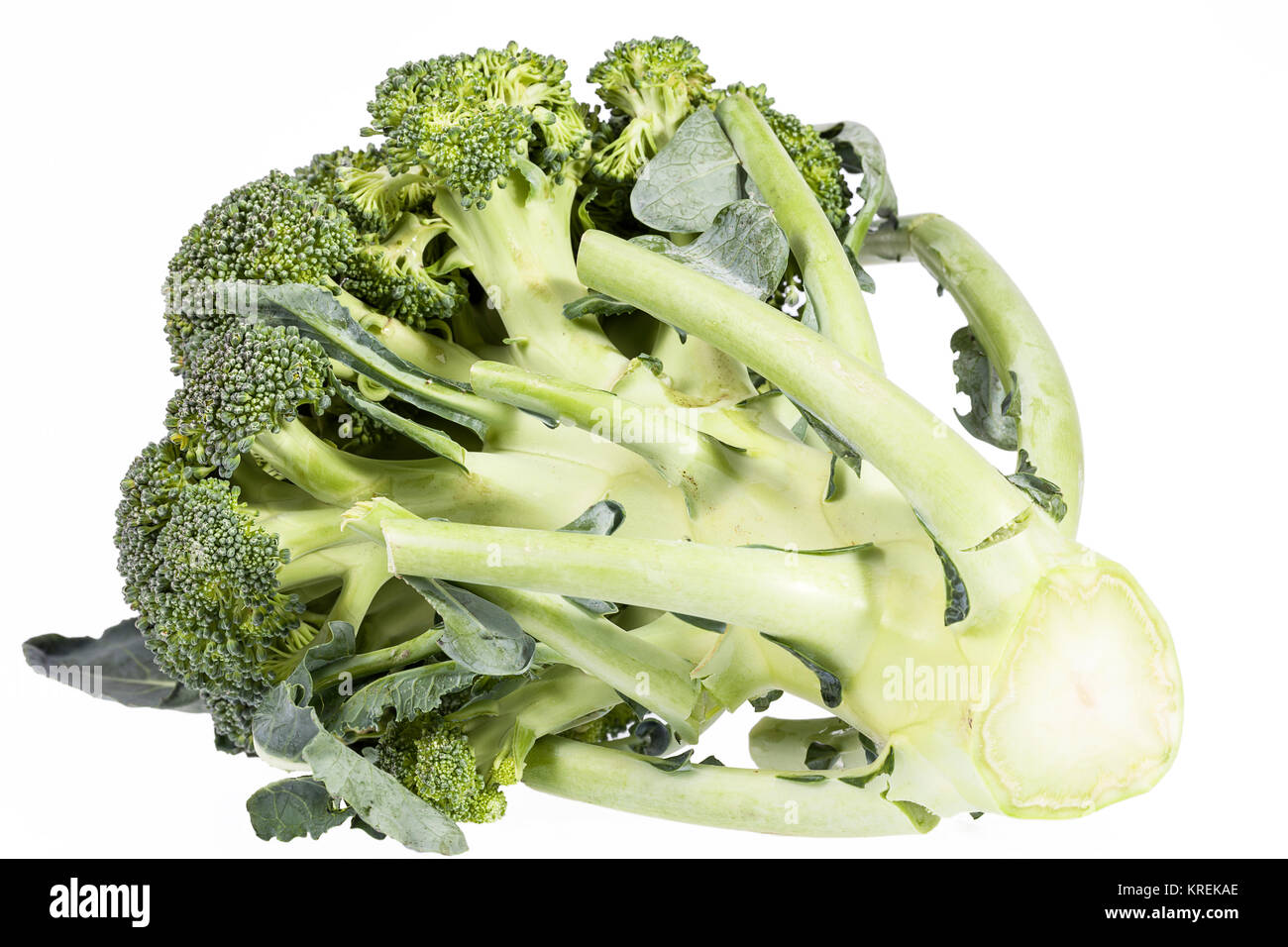 Single fresh green broccoli isolated on white background Stock Photo ...