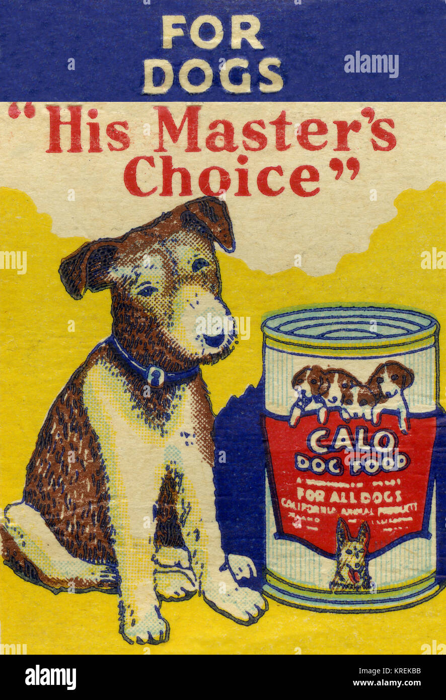 His Master's Choice Stock Photo - Alamy