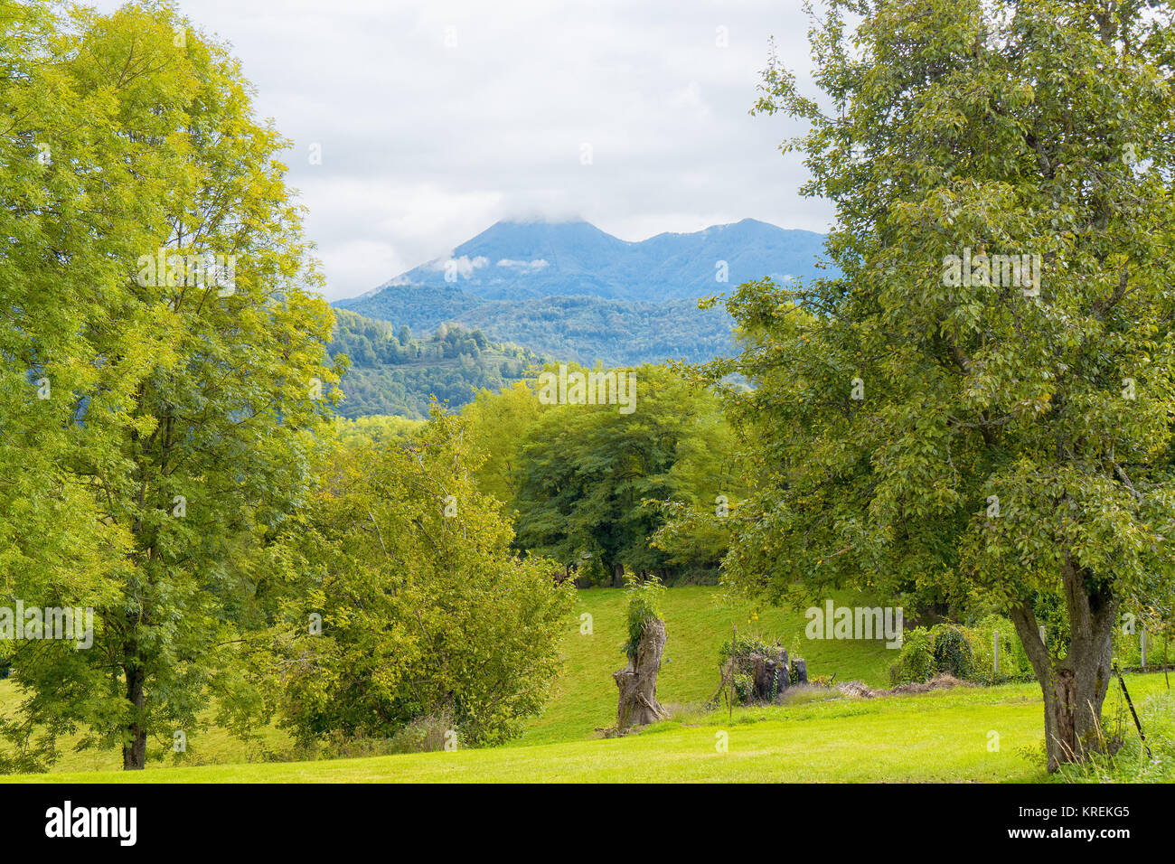 landscape of the Pyrenees mountains in France Stock Photo - Alamy