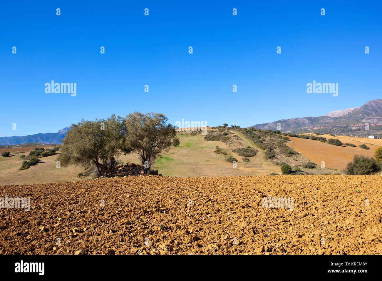 plowed soil on a hillside with arid spanish farming scenery with ...