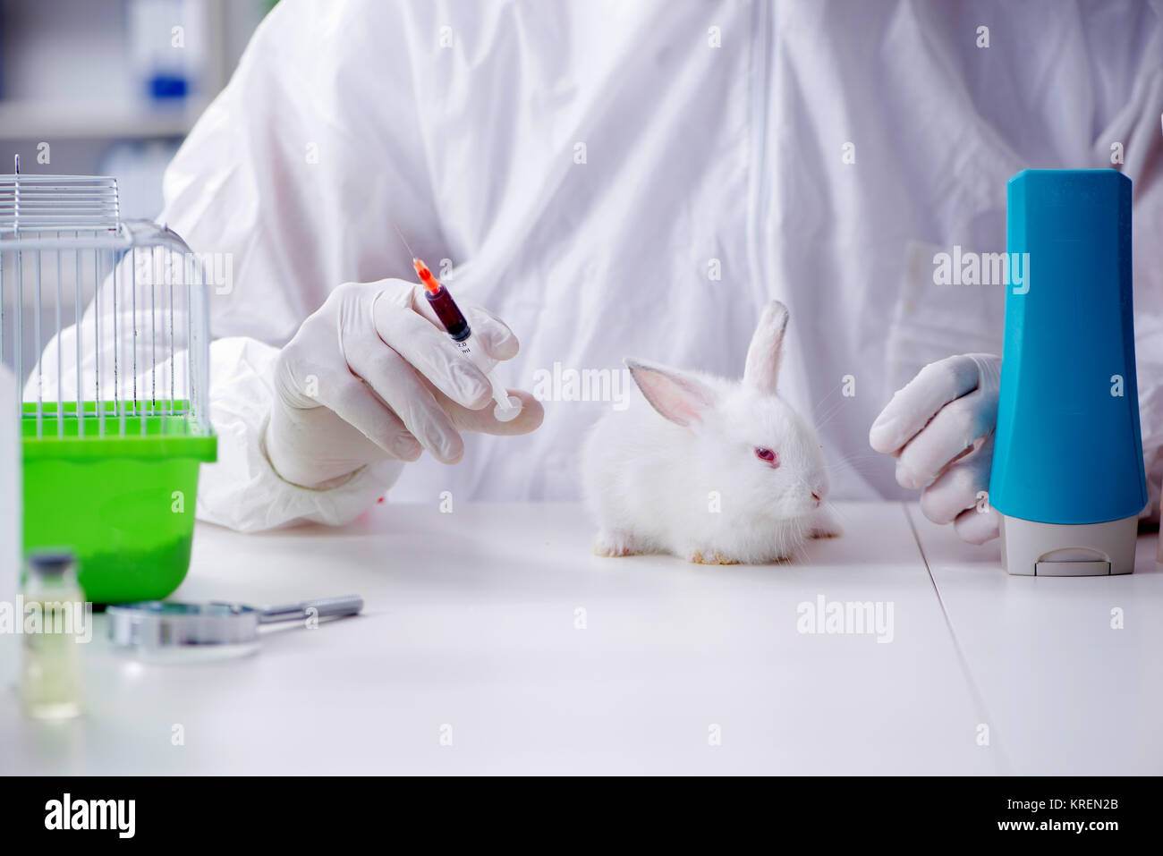 White rabbit in scientific lab experiment Stock Photo - Alamy