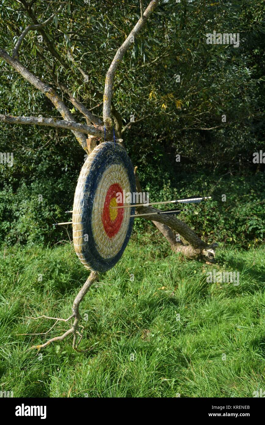 target of straw hangs on old tree branch with thrown arrows Stock Photo ...