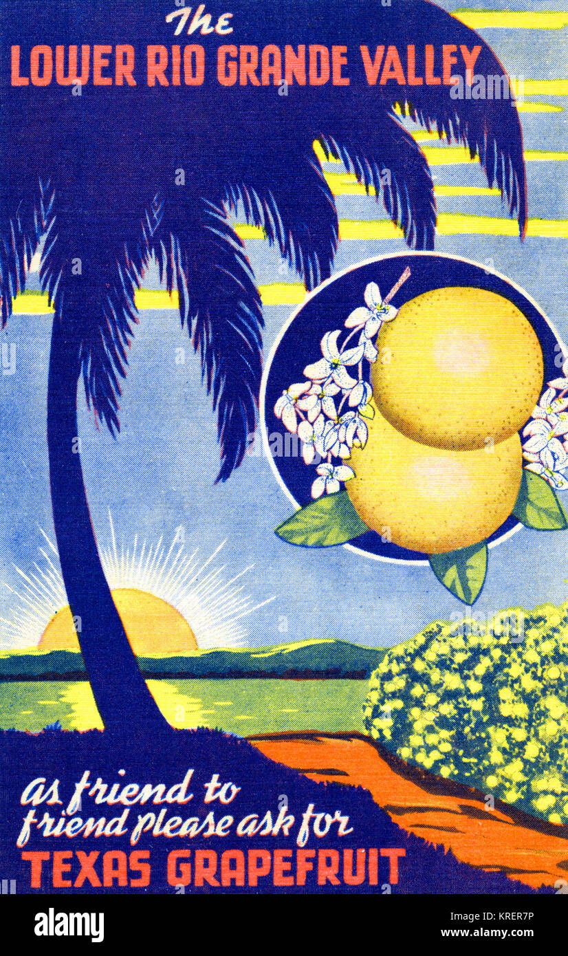 Citrus fruit tree texas hi-res stock photography and images - Alamy