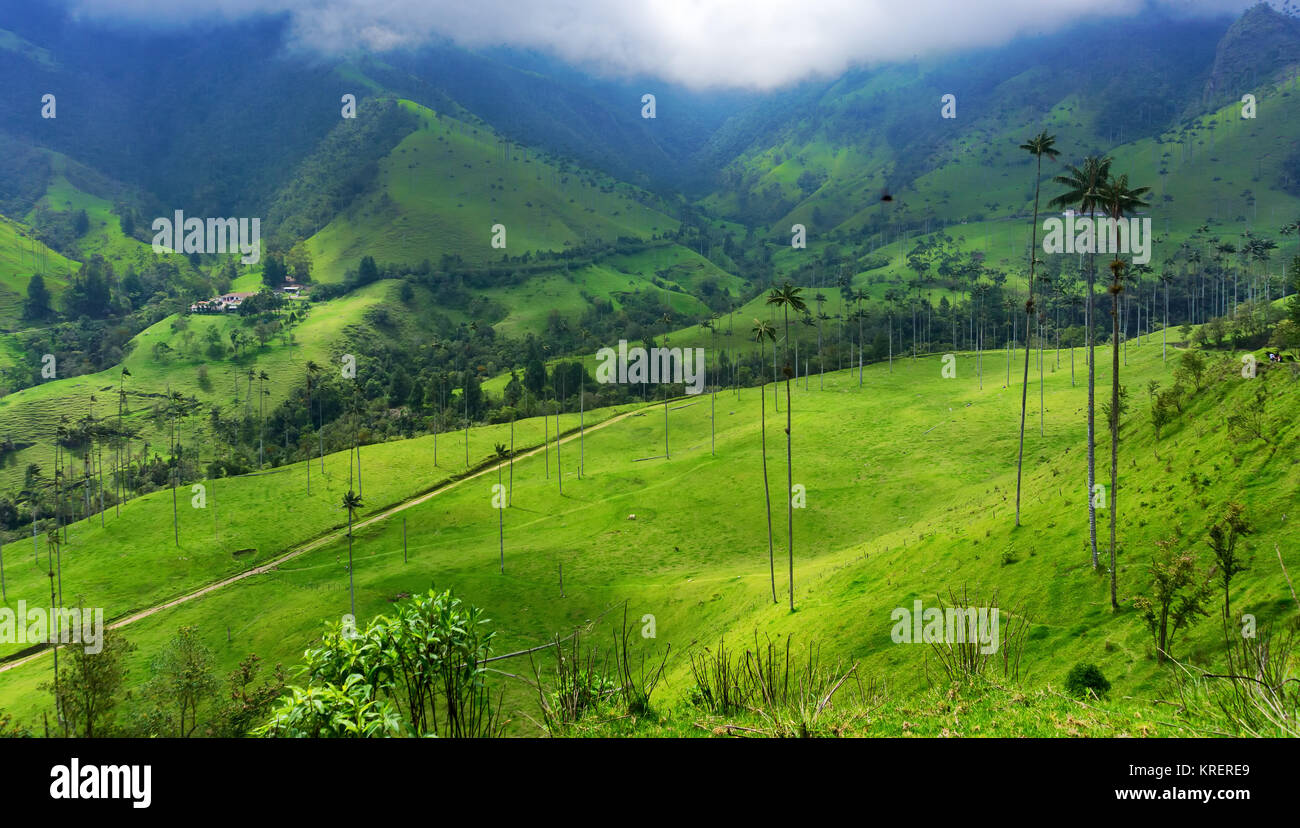 Beautiful Green Valley Stock Photo - Alamy
