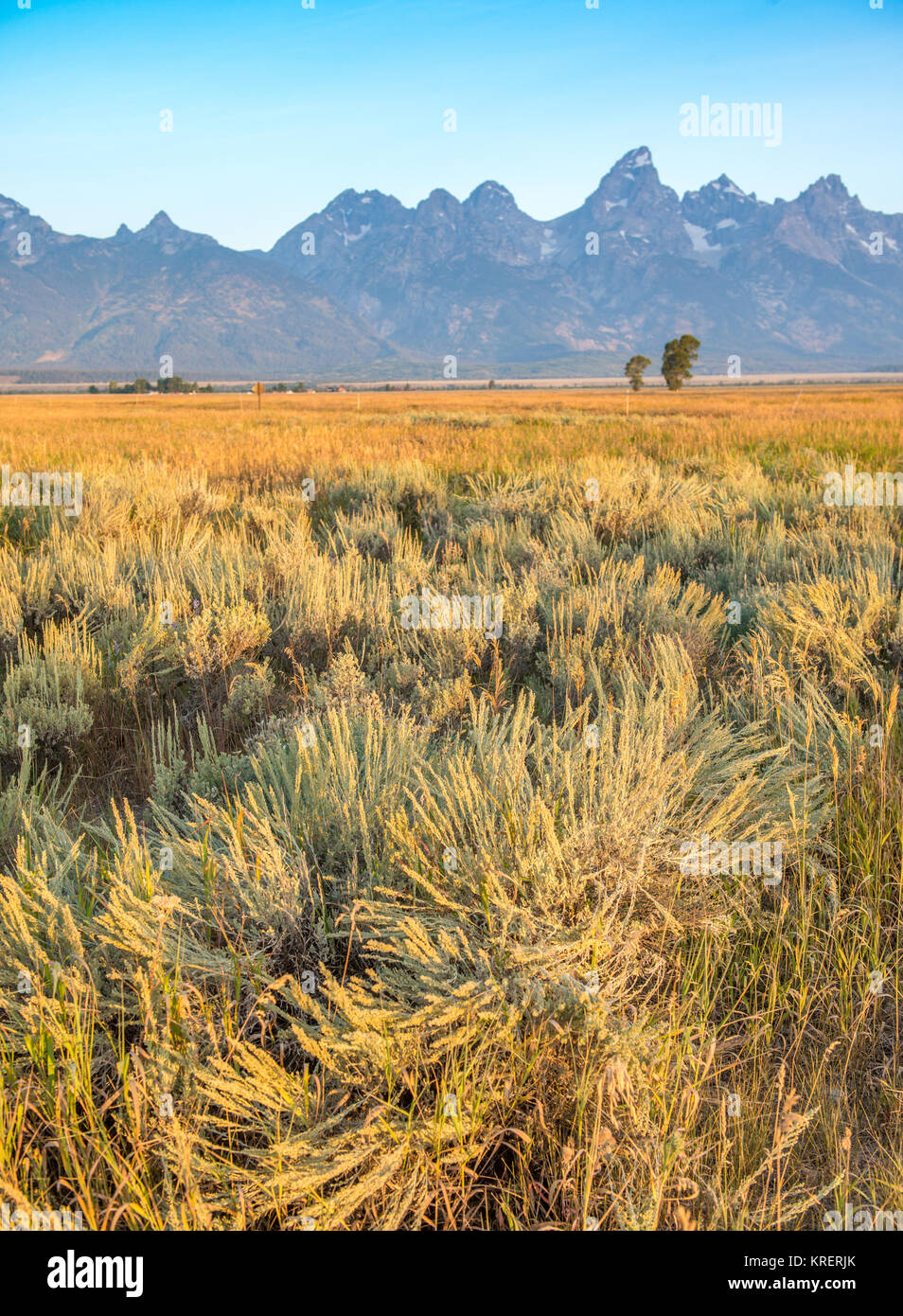Boundless field hi-res stock photography and images - Alamy