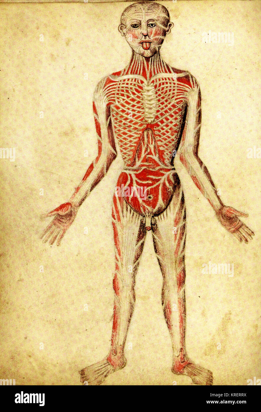 Galen Of Ancient Rome