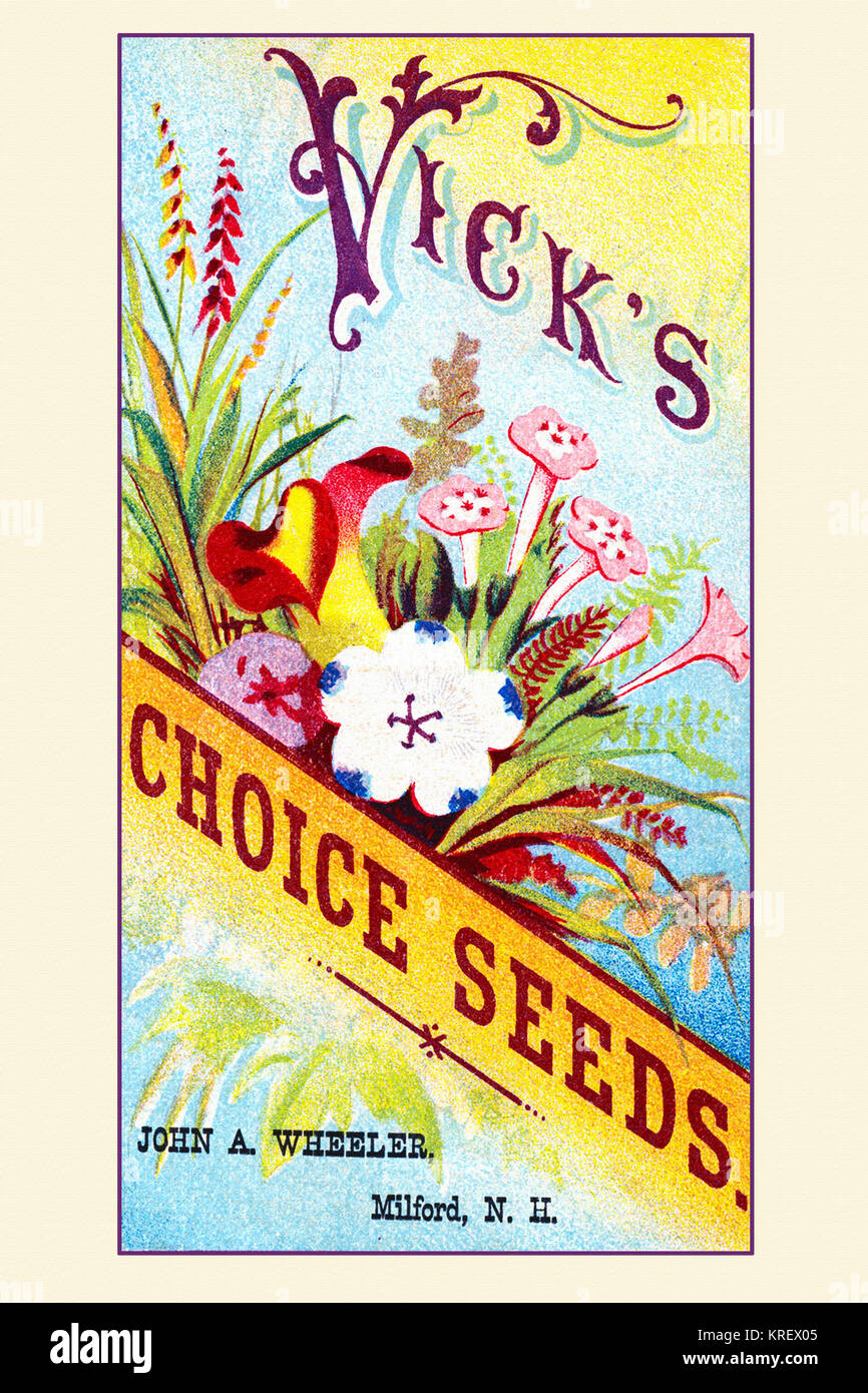 Victorian seed hi-res stock photography and images - Alamy