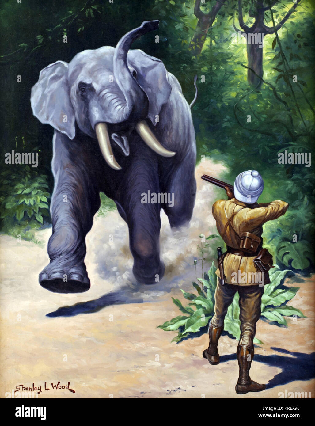 The charge of the elephant hi-res stock photography and images - Alamy
