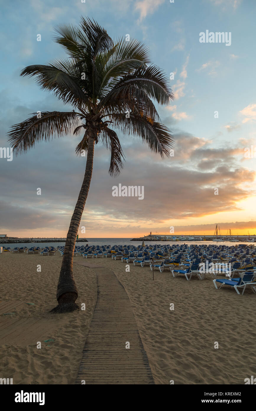 GRAN CANARIA, SPAIN - DECEMBER 10, 2017: Plank walk between palm tree ...