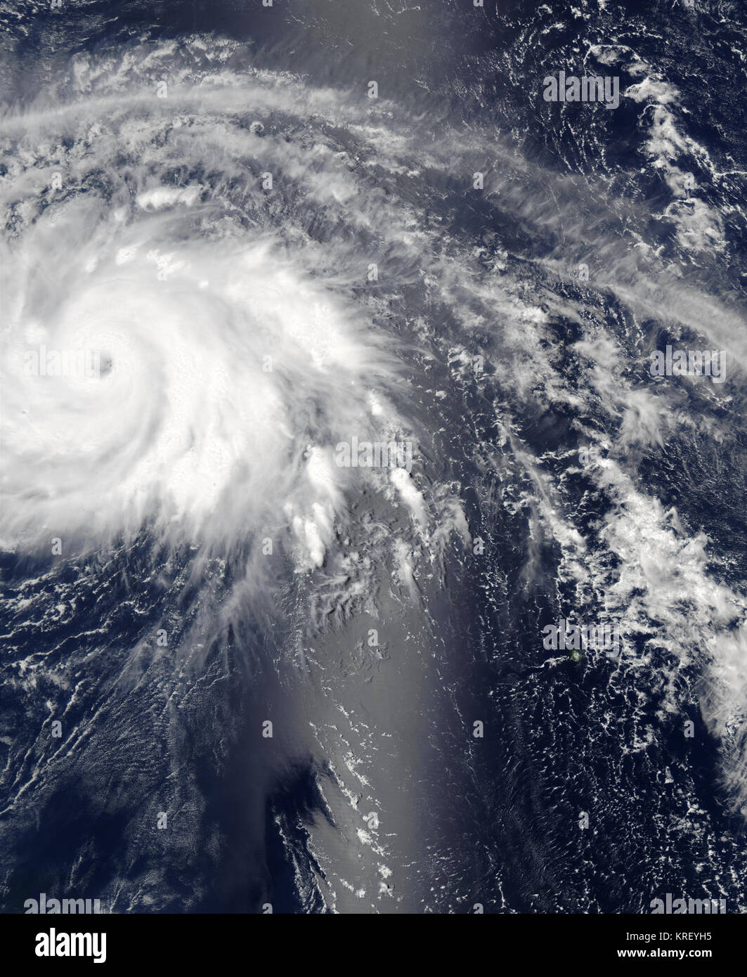 Kujira hi-res stock photography and images - Alamy