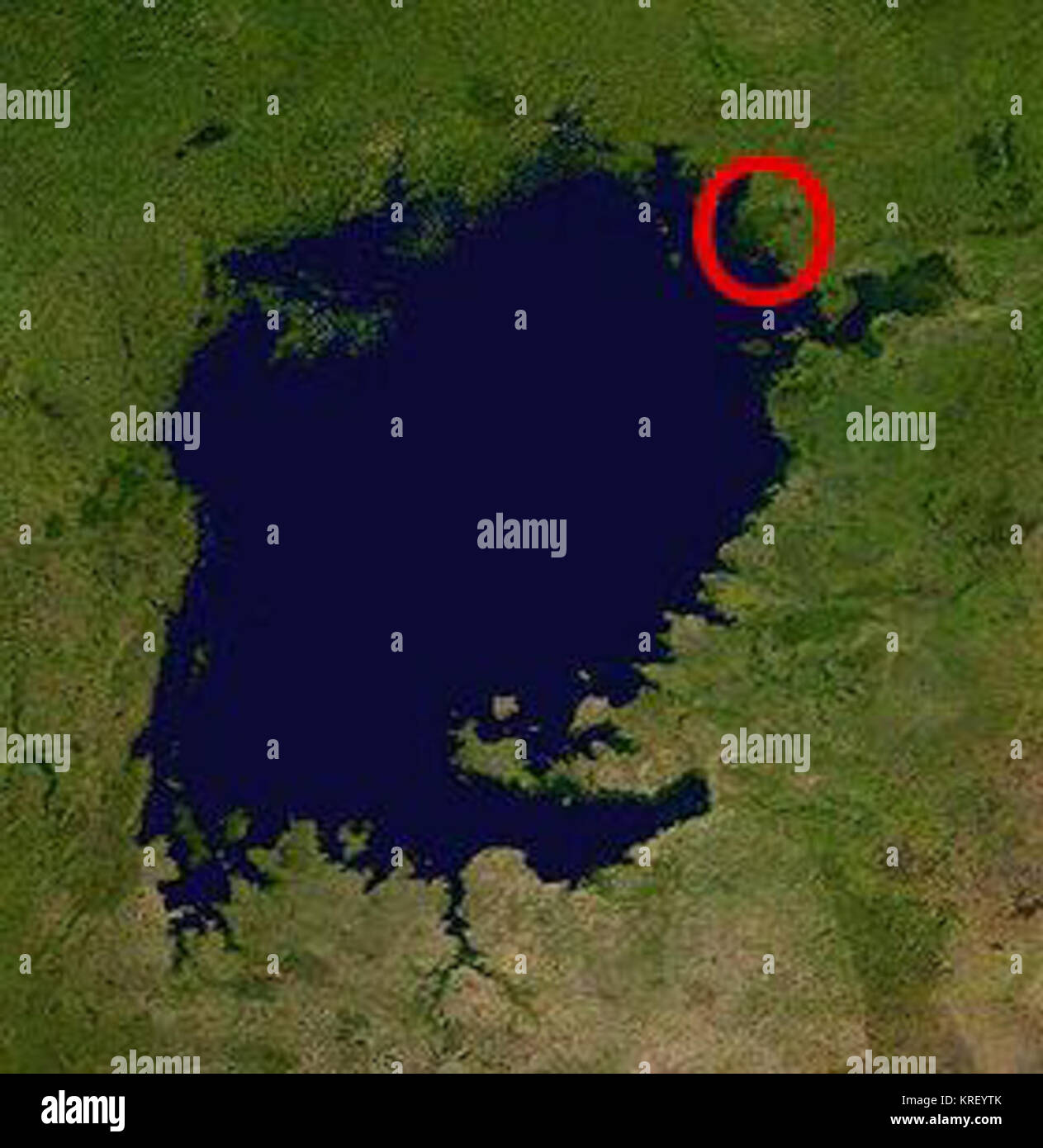 Lake Victoria Yala Swamp Stock Photo - Alamy