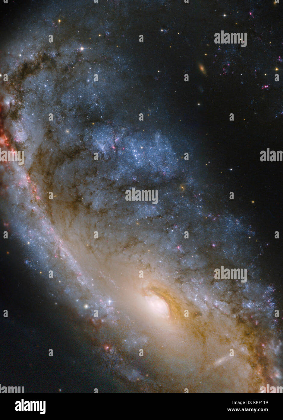 Ngc 2442 hi-res stock photography and images - Alamy