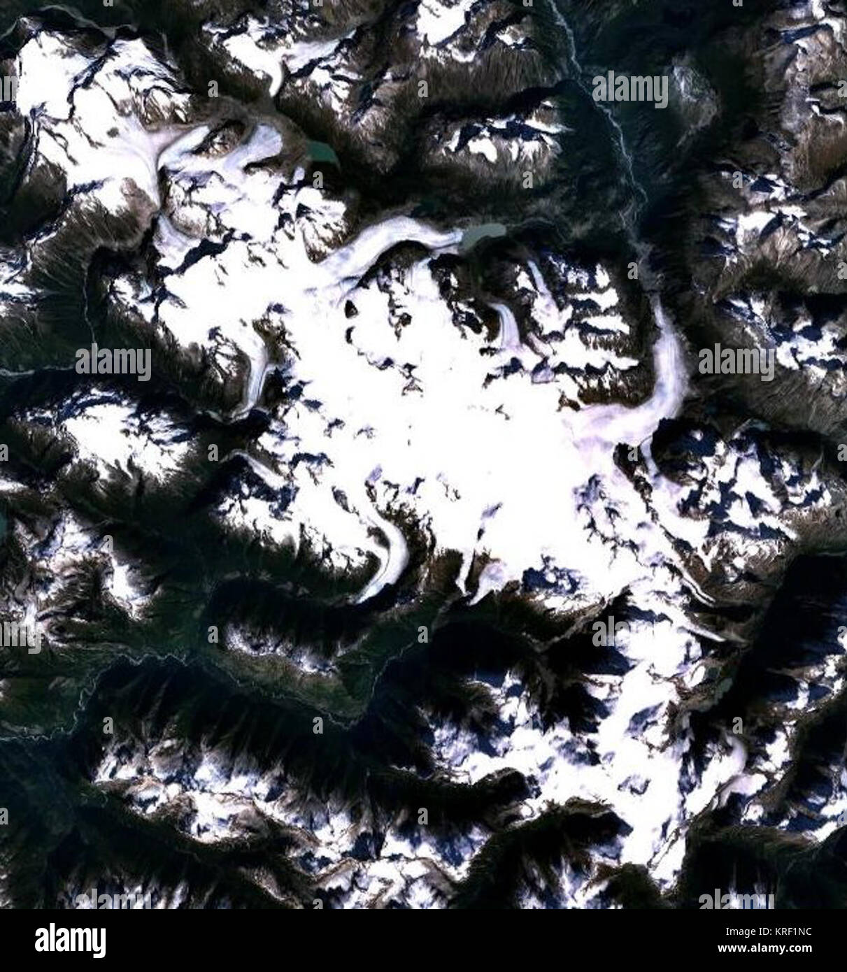 Monarch icefield hi-res stock photography and images - Alamy