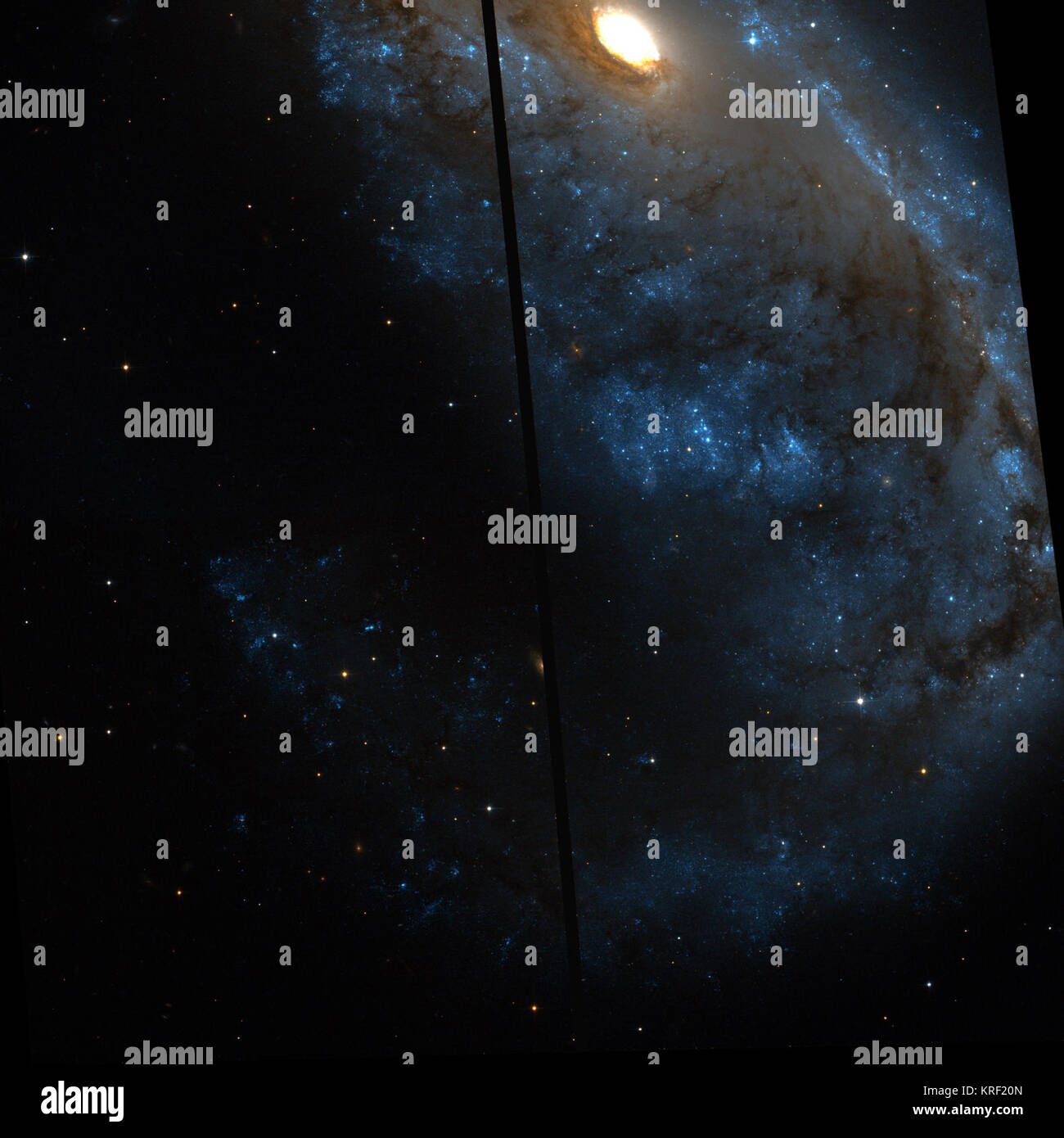 Ngc 2442 hi-res stock photography and images - Alamy