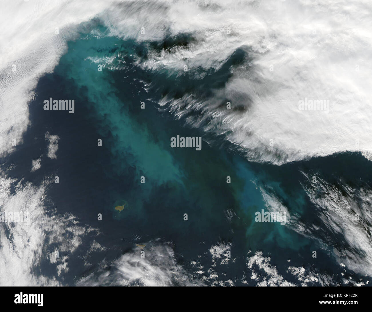 Phytoplankton pollution hi-res stock photography and images - Alamy