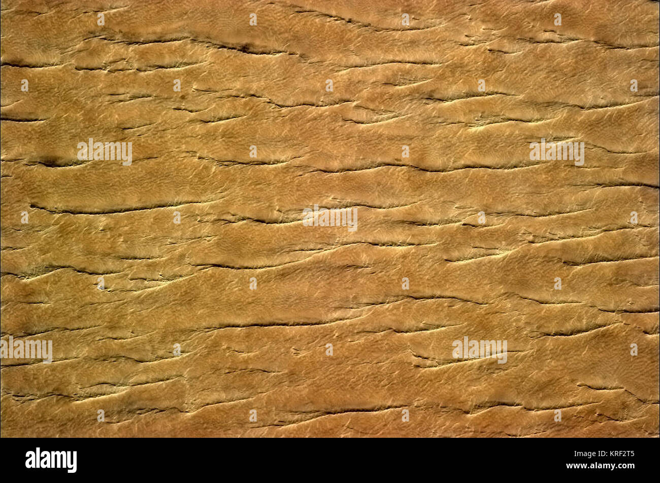 Sahara desert nasa hi-res stock photography and images - Alamy