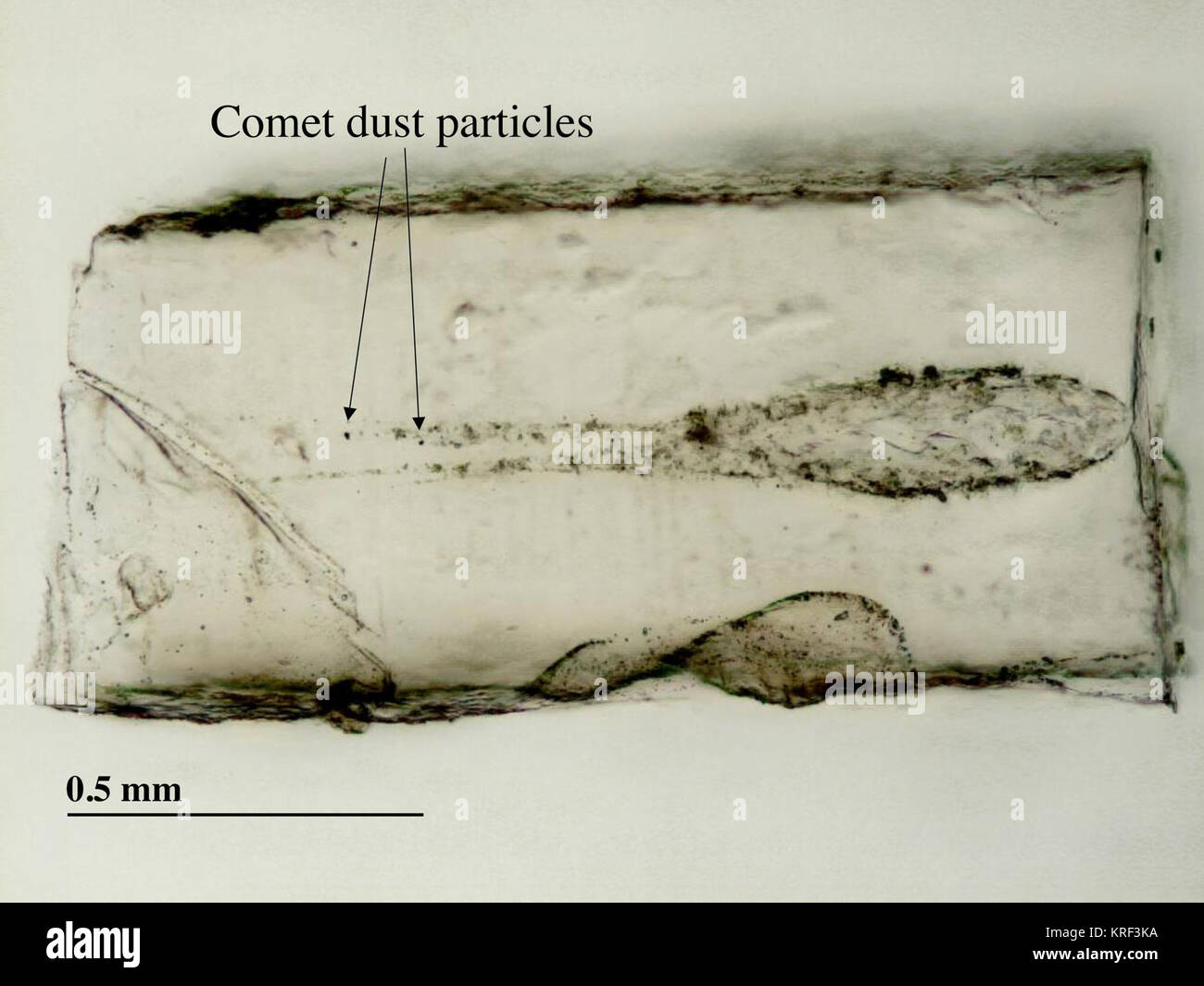 Stardust particle hi-res stock photography and images - Alamy