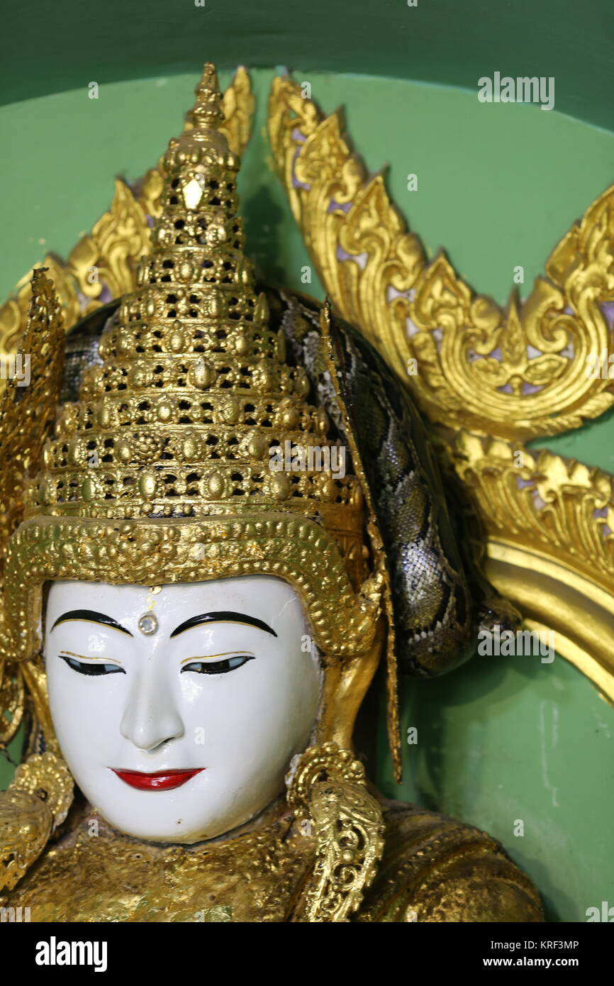 Monk snake hi-res stock photography and images - Alamy