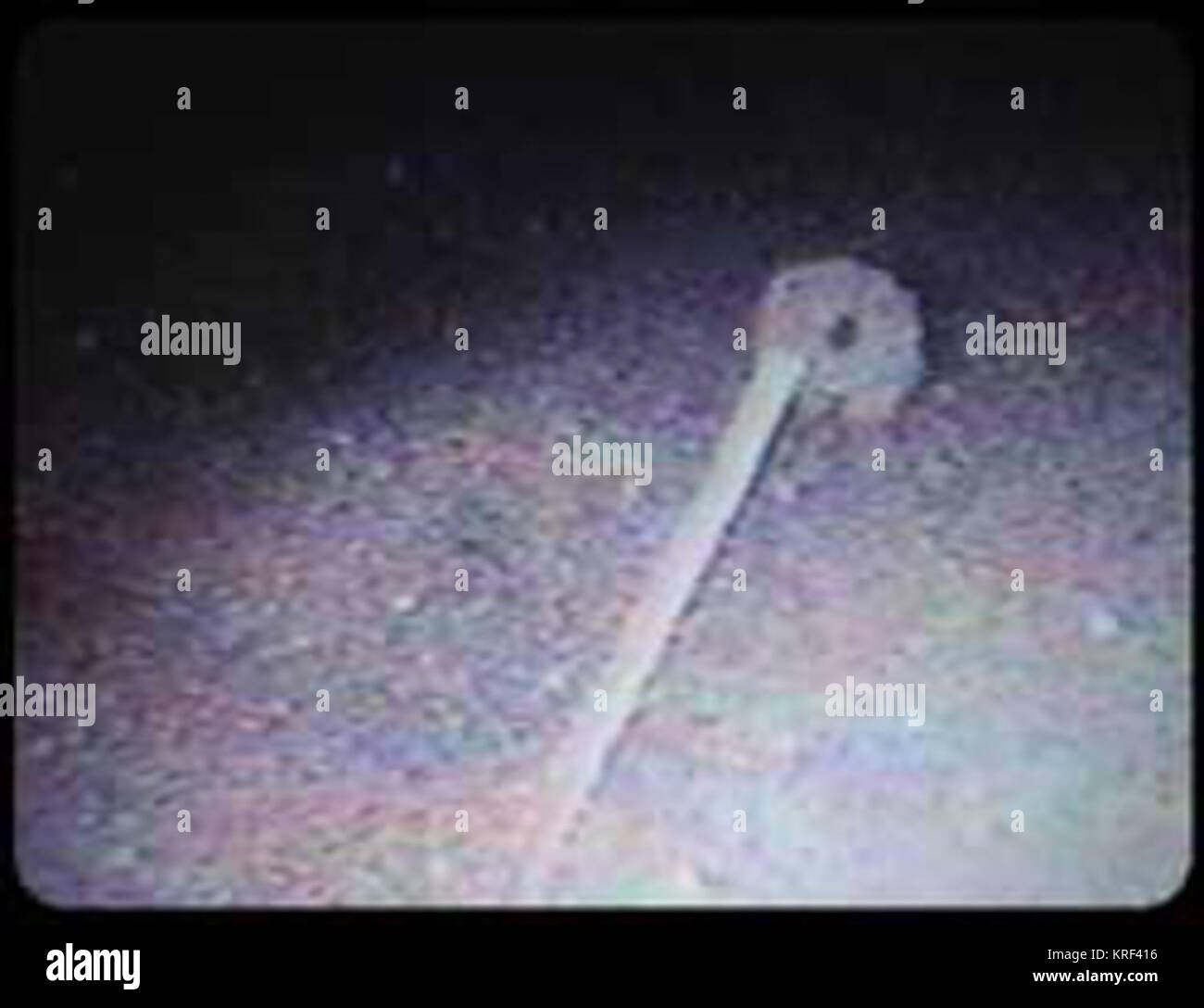 Stock tether hi-res stock photography and images - Alamy