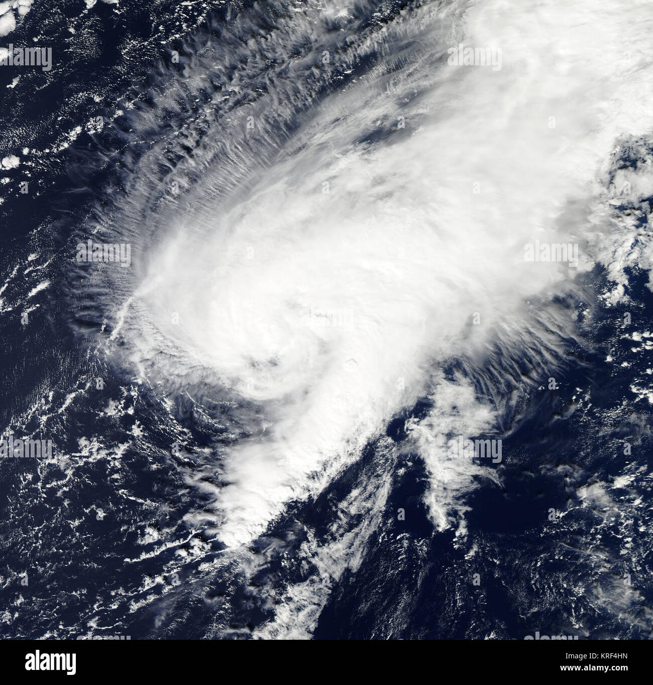 Tony Oct 24 2012 Stock Photo - Alamy