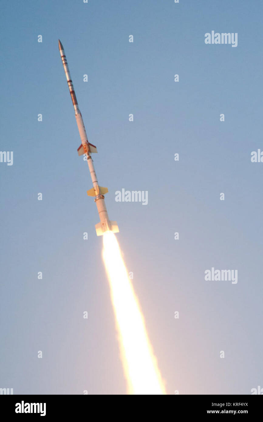 Talos Terrier Oriole 6 Stock Photo - Alamy