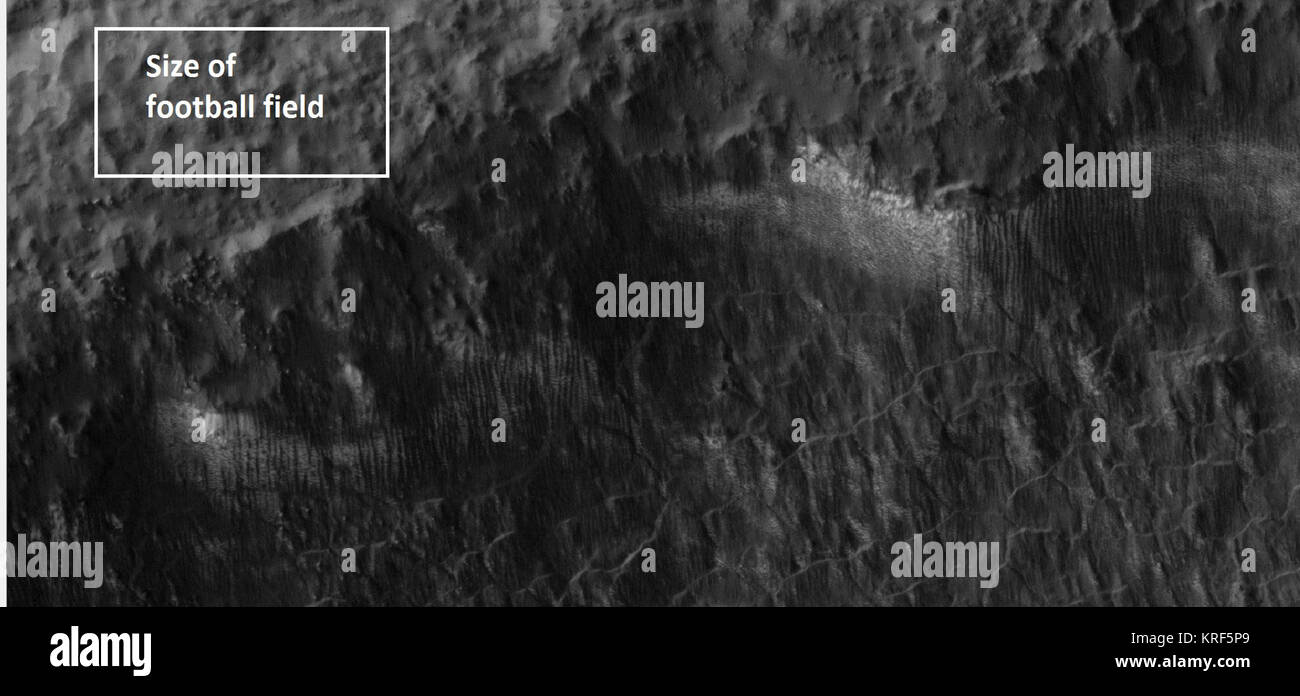 Body processes Black and White Stock Photos & Images - Alamy