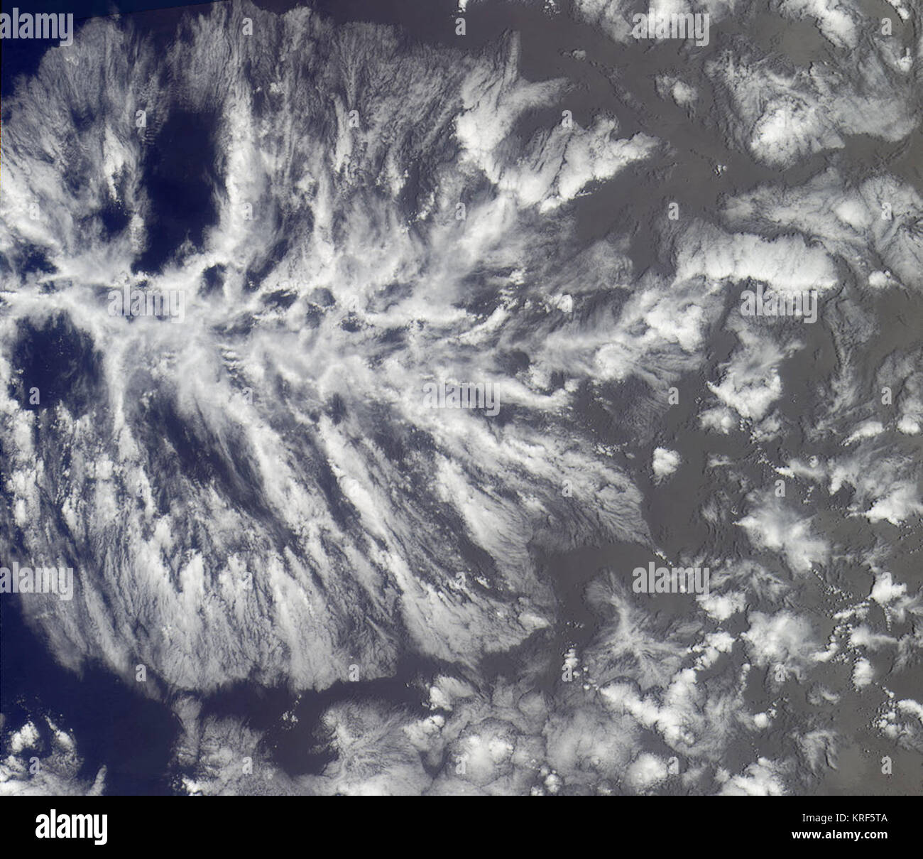 Actinoform hi-res stock photography and images - Alamy