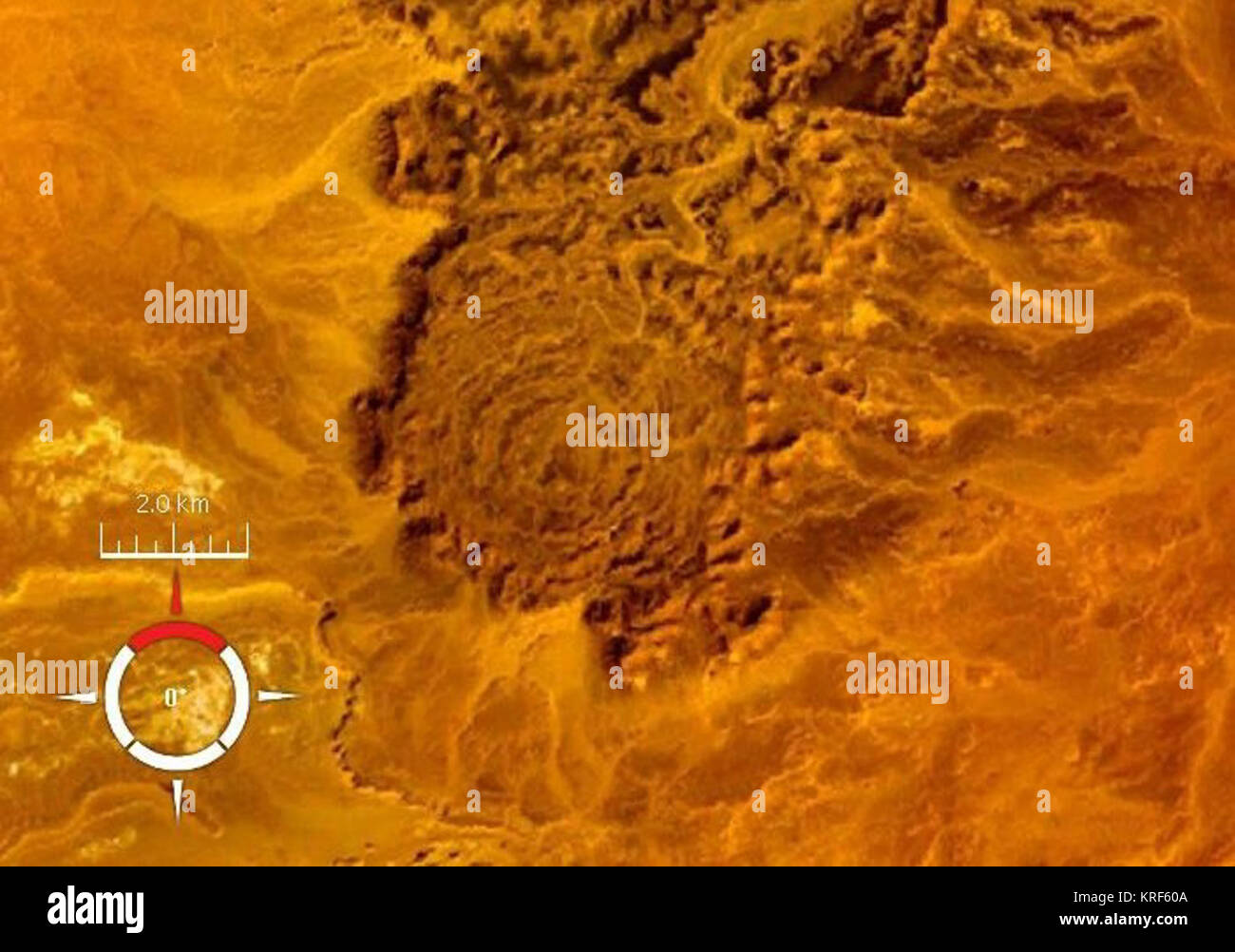 Bider hi-res stock photography and images - Alamy