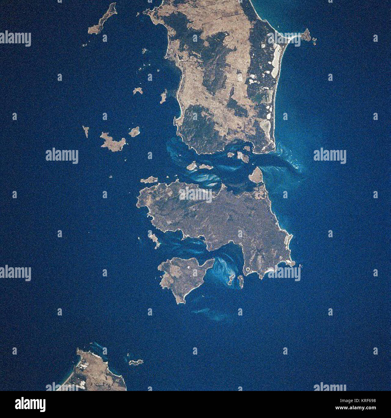 Cape barren island Stock Photo - Alamy