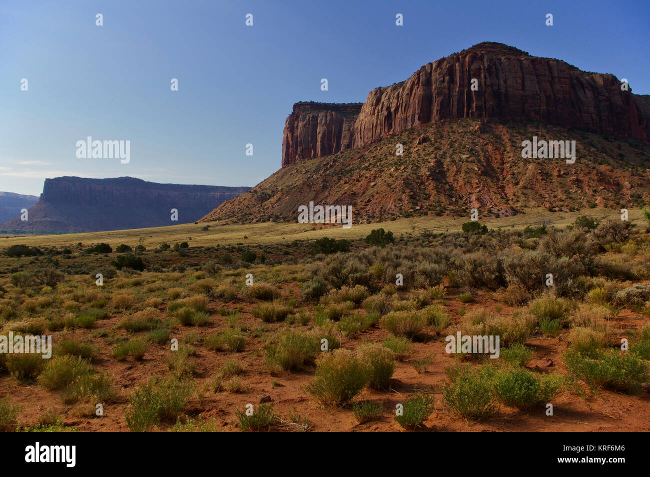 Huge mesa in the early morning light with green desert plants in the ...