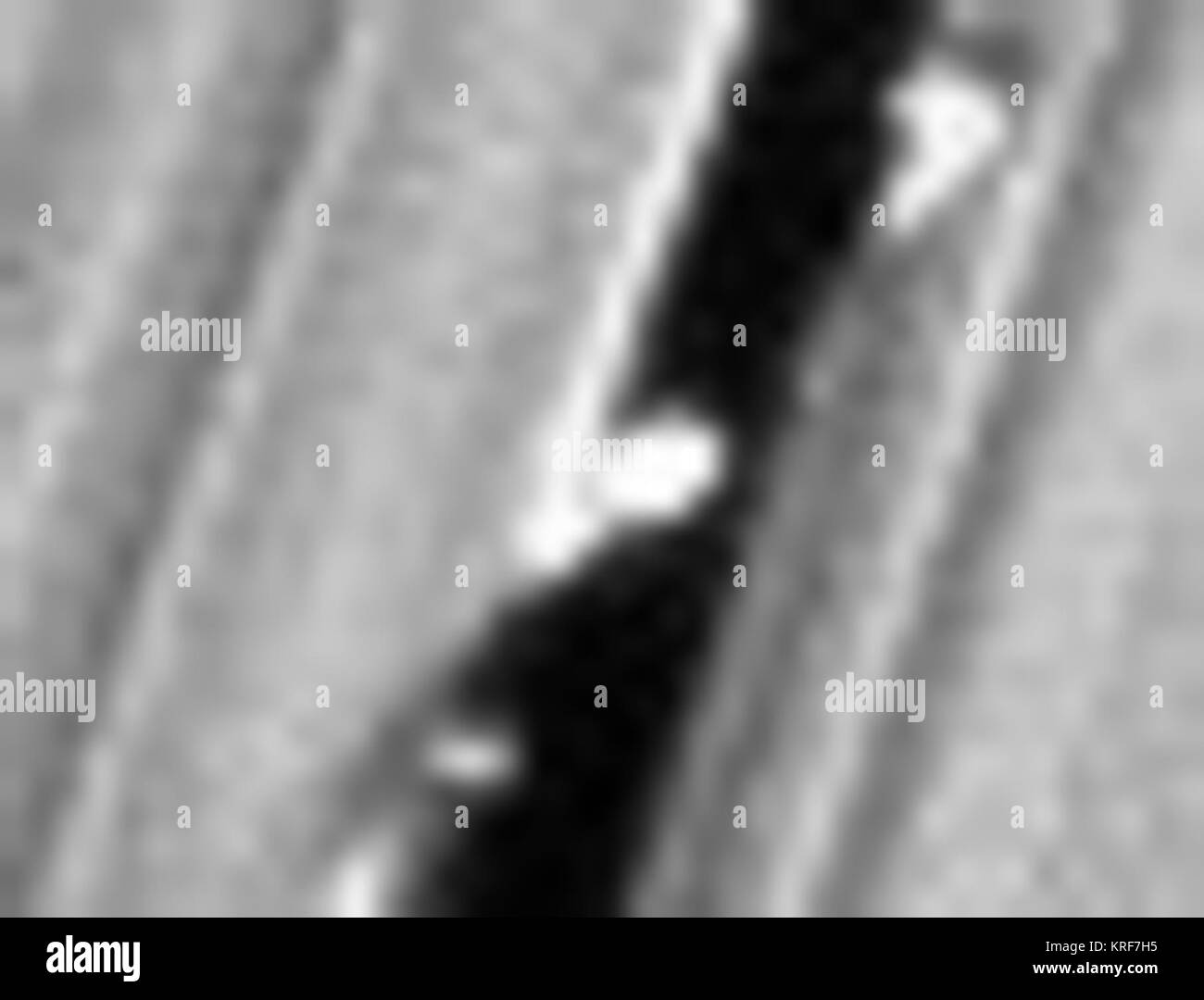 Daphnis Black and White Stock Photos & Images - Alamy