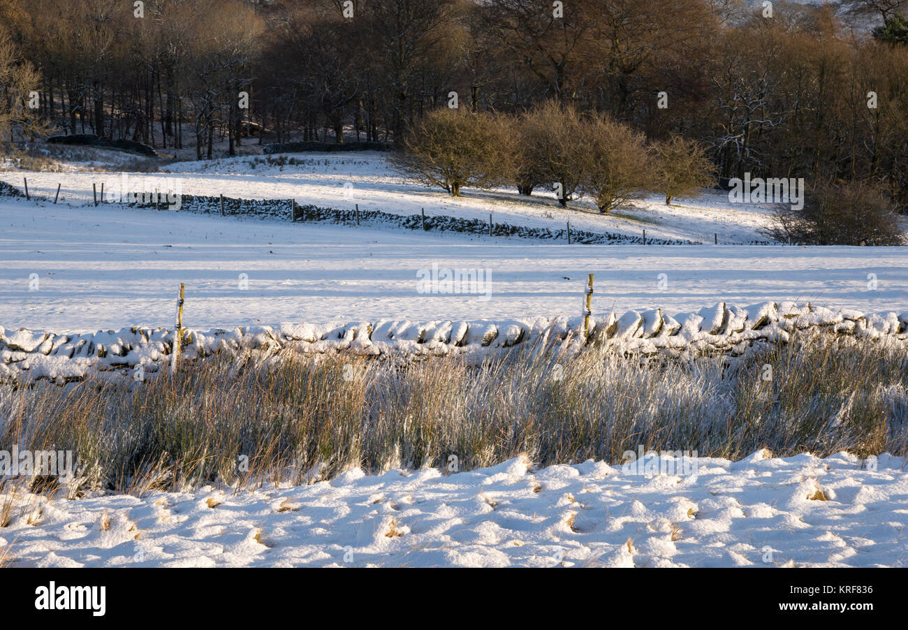 Snowy english countryside bright winter hi-res stock photography and ...