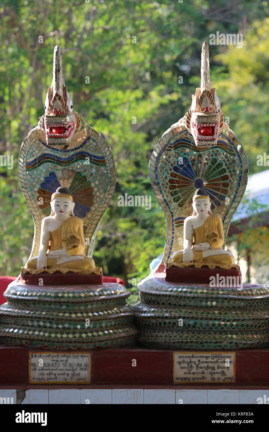 Monk snake hi-res stock photography and images - Alamy