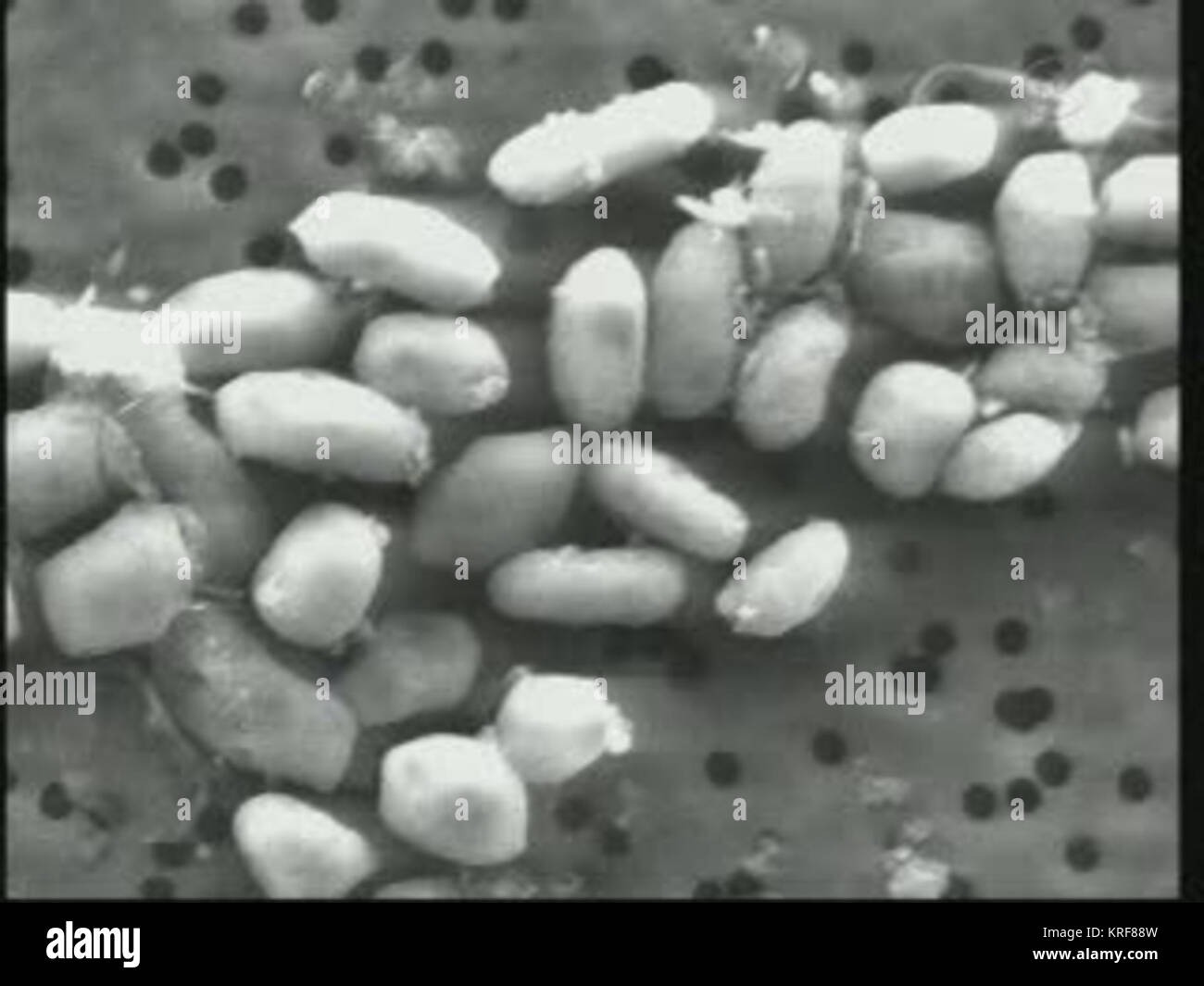 Electron orbital hi-res stock photography and images - Alamy